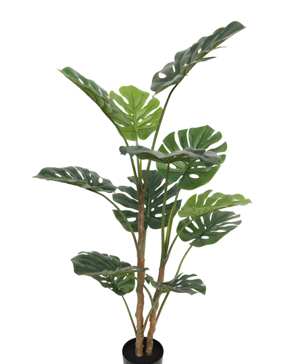Real Touch Plants & Flowers Collection - Fourwalls