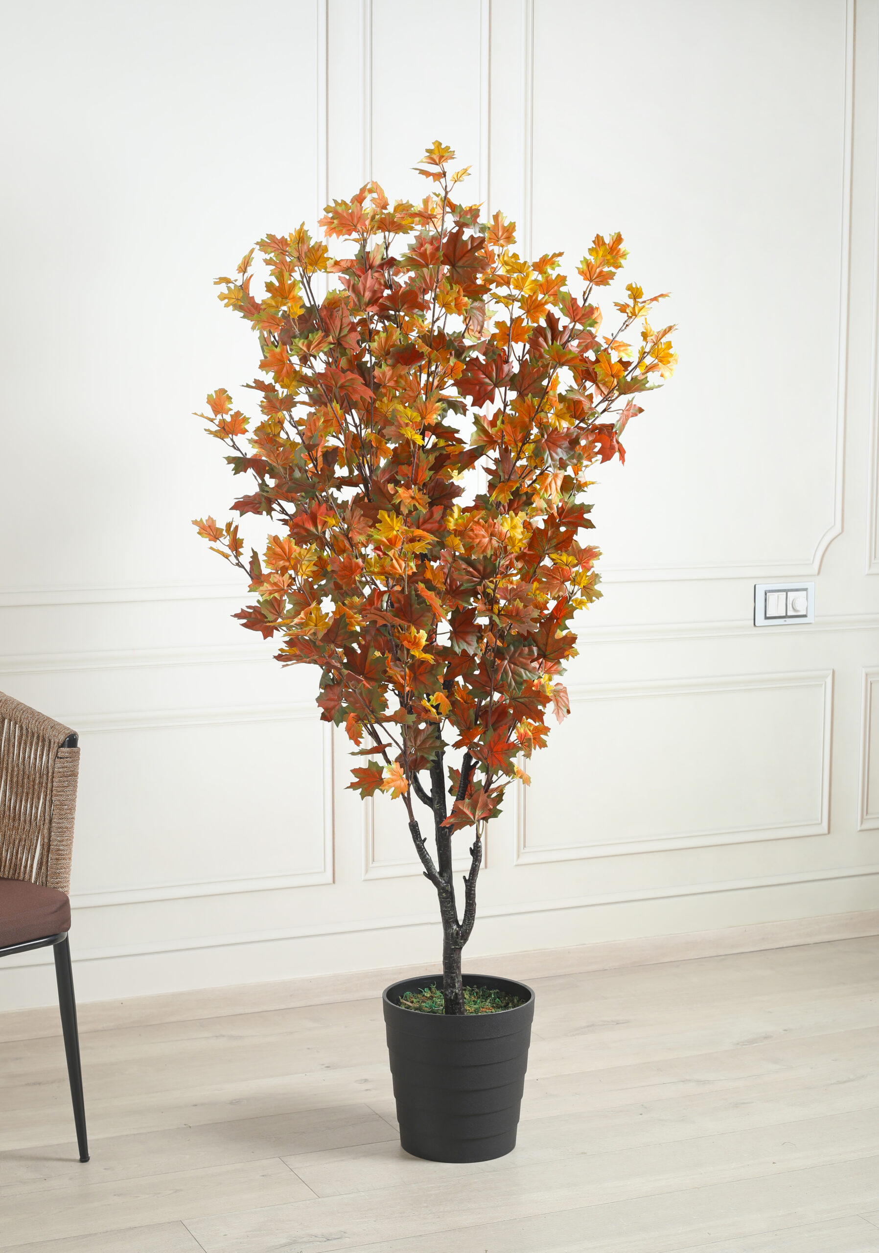 Artificial Japanese Maple Plant For Living Room 5.4 Feet - Mumbai